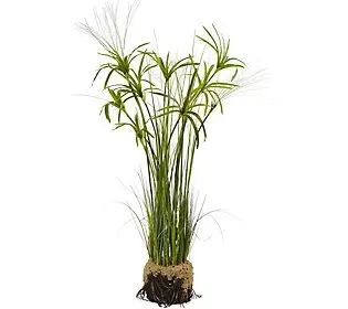NEARLY NATURAL Papyrus Plant With Faux Soil By