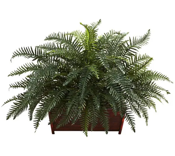 NEARLY NATURAL River Fern W/wood Planter By