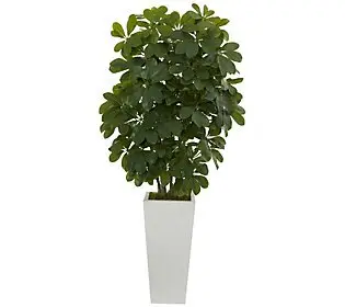 NEARLY NATURAL 40' Schefflera Artificial Plant In Vase Near Ly Natural