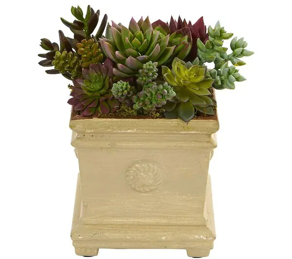 NEARLY NATURAL Mixed Succulent Plant In Decorative Vase Nea Rly Natural