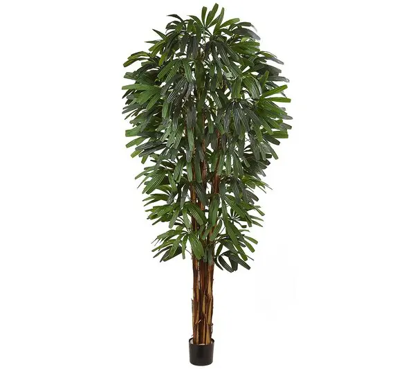 NEARLY NATURAL 84' Raphis Silk Palm Tree By