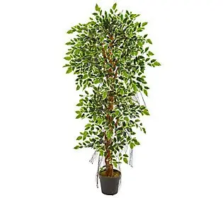 NEARLY NATURAL 5' Elegant Ficus Artificial Tree Nearly Natu Ral