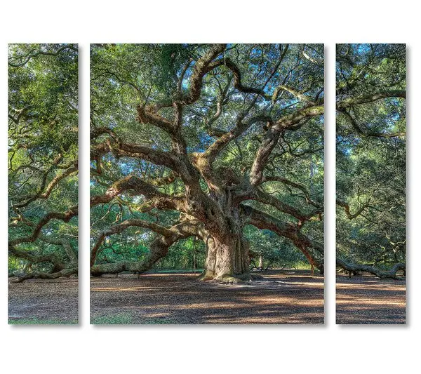 LAVISH HOME Pierre Leclerc Angel Oak Charleston 3-piece Print