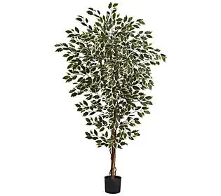 NEARLY NATURAL 6' Hawaiian Ficus Tree By