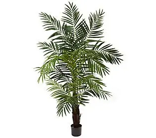 NEARLY NATURAL 6' Areca Palm Tree By