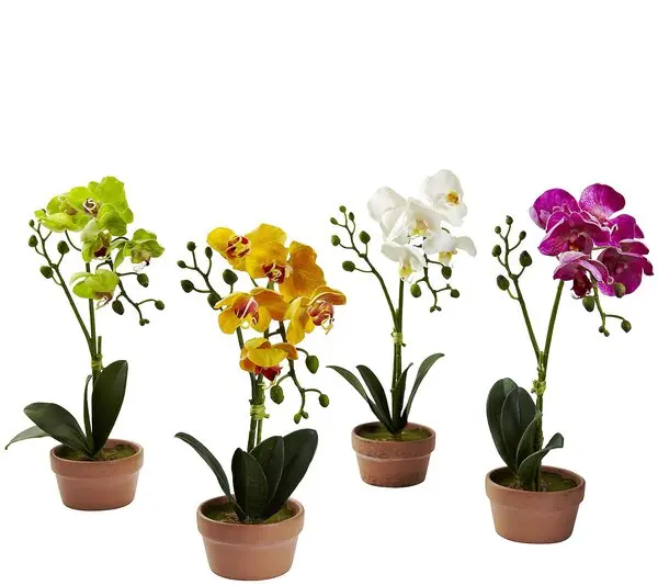 NEARLY NATURAL Set Of 4 Phalaenopsis Orchids W/clay Vase Ne Arly Natural