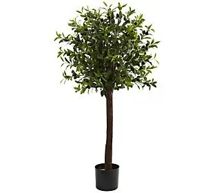 NEARLY NATURAL 4' Olive Topiary Tree By