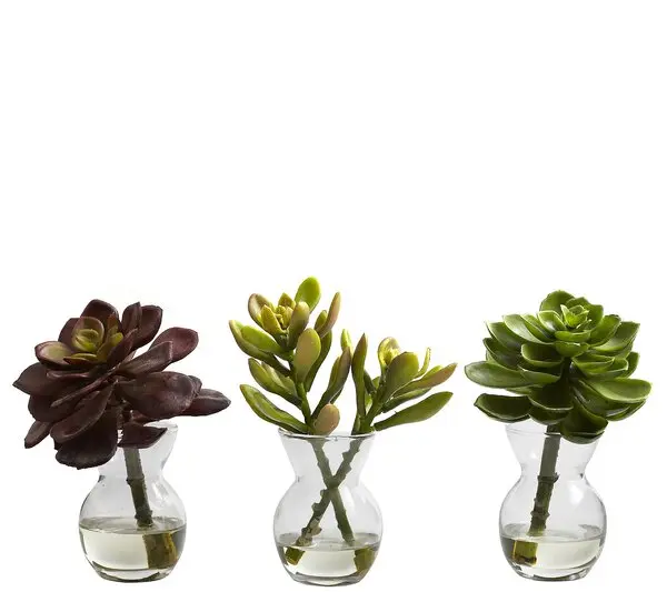NEARLY NATURAL Set Of 3 Succulent Arrangements By