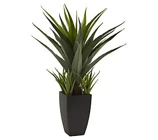 NEARLY NATURAL 2-1/2' Agave W/black Planter By