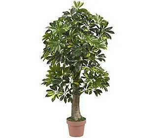 NEARLY NATURAL 4' Real Touch Schefflera Tree By