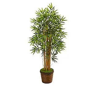 NEARLY NATURAL 4.5' Bamboo Tree In Coiled Rope Lanter