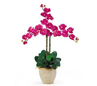 NEARLY NATURAL Phalaenopsis Orchid Arrangement Bynearly Natura