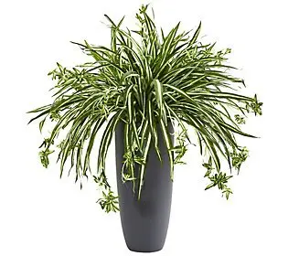 NEARLY NATURAL 33 Spider Artificial Plant In Planter Near Ly Natural - One-color