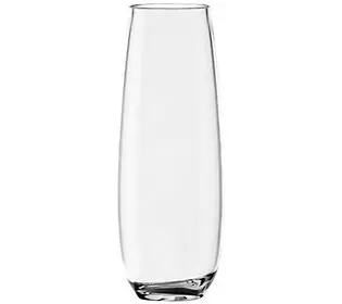 TARHONG Tritan Acrylic Montana Tritan Set Of 6 Stemless Flutes