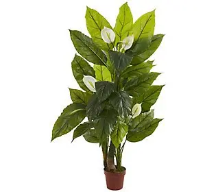 NEARLY NATURAL 4.5' Spathyfillum Plant Real Touch By