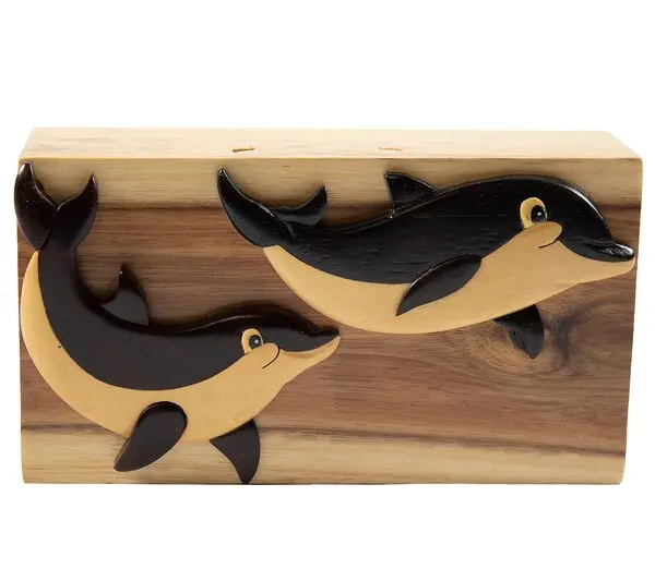 CARVER DAN'S Going Swimming Puzzle Box With Mag Net Closures
