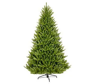 PULEO INTERNATIONAL 7' Unlit Franklin Fir Tree
