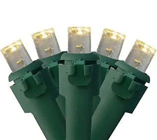 NORTHLIGHT 300 Warm White Led Wide Angle Lights