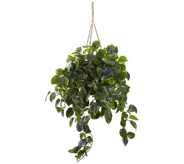 NEARLY NATURAL Pothos Hanging Basket Uv Resistant Nearly Na Tural