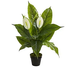 NEARLY NATURAL Spathiphyllum Plant Nearly Natu Ral