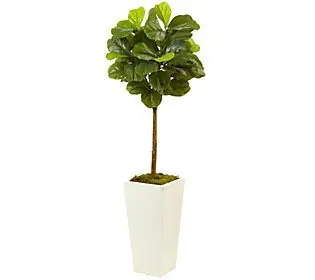 NEARLY NATURAL 4.5' Fiddle Leaf Fig Tree In White Planter N Early Natural