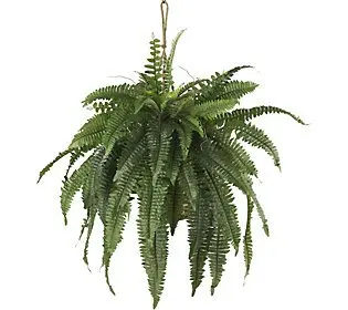 NEARLY NATURAL Large Boston Fern Hanging Basket Nearly Natu Ral