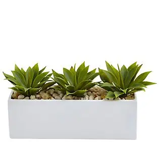 NEARLY NATURAL Agave Succulent In Rectangular Planter Nearl Y Natural