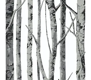 NEXTWALL Birch Trees Peel And Stick Wallpaper R Oll