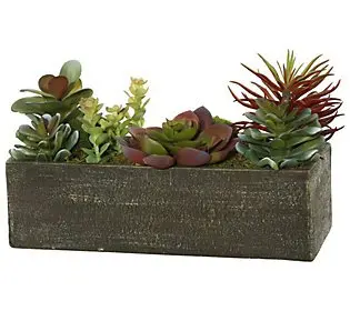 VICKERMAN 5.25' Artificial Green Succulent Arra Ngement