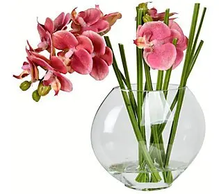 VICKERMAN 9.8' Artificial Pink Butterfly Orchid In Glass Pot