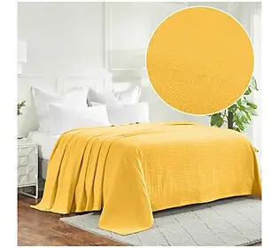SUPERIOR Cotton All-season Plush Twin Blanket