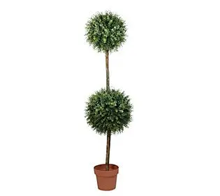 NORTHLIGHT 4.5' Potted 2-tone Boxwood Double Ba Ll Topiary Tre