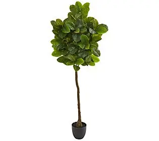NEARLY NATURAL 6' Rubber Leaf Tree Real Touch Nearly Natura L