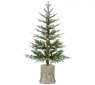 STERLING 3-ft High Potted Natural Cut Frosted Pine Tree Y Co