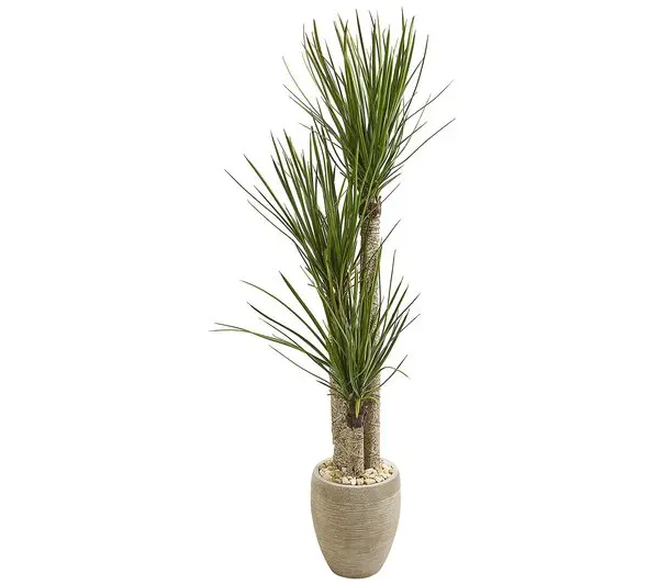 NEARLY NATURAL 64' Yucca Tree In Sand-colored Planter Nearl Y Natural