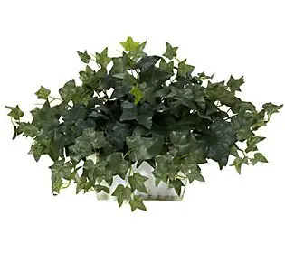 NEARLY NATURAL Ivy Plant With Whitewashed Planter Nearly Na Tural