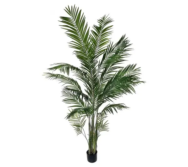 VALERIE PARR HILL 7' Potted Areca Palm Valerie
