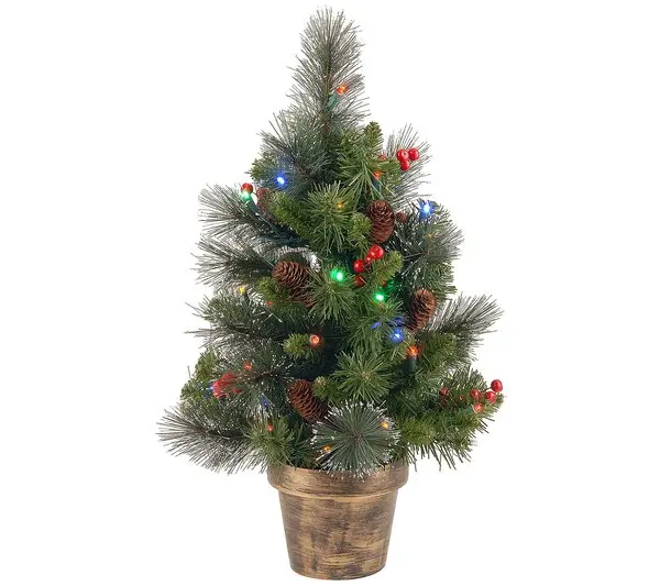 NATIONAL TREE COMPANY Batt. Op. 2' Spruce W/ Mu Lti Lights