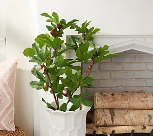 HOUSE NO. 9 BY HOME LOVE House No.9 Home Love Set Of 3 Faux Fig Stems