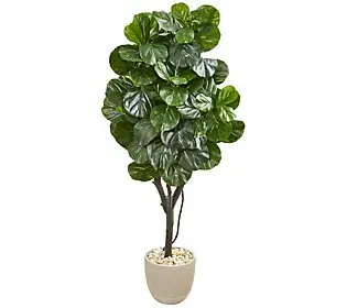 NEARLY NATURAL 67' Fiddle Leaf Fig Tree In Planter Nearly N Atural