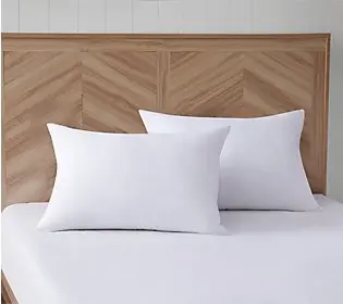 TRULY CALM Antimicrobial King Pillow Pair Withremovable Cover