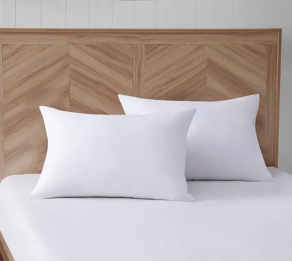 TRULY CALM Antimicrobial Pillow Pair With Remov Able Cover