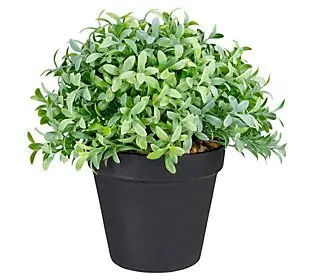 NORTHLIGHT 7.5' Artificial Chinese Yew Plant In Black Pot