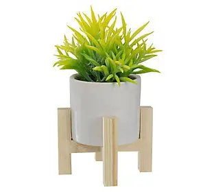 NORTHLIGHT 8' Potted Artificial Succulent W/sta Nd