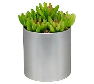 NORTHLIGHT 4.75' Potted Artificial Sedum Succul Ent
