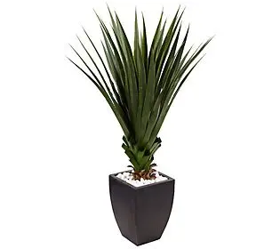 NEARLY NATURAL 4.5' Spiked Agave In Black Planter Nearly Na Tural