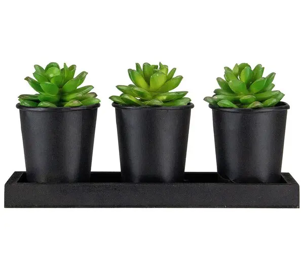 NORTHLIGHT Set Of 3 Artificial Potted Succulent S W/wood