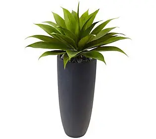 NEARLY NATURAL Agave In Gray Cylinder Planter Nearly Natura L