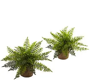 NEARLY NATURAL 15' Ruffle Fern Burlap Base Set Of 2 Nearly Atural