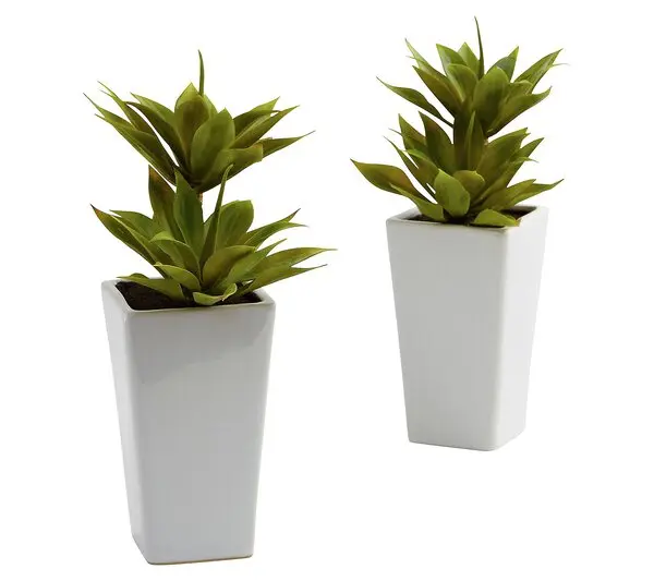 NEARLY NATURAL Double Mini Agave With Planter Set Of 2 Near Ly Natural